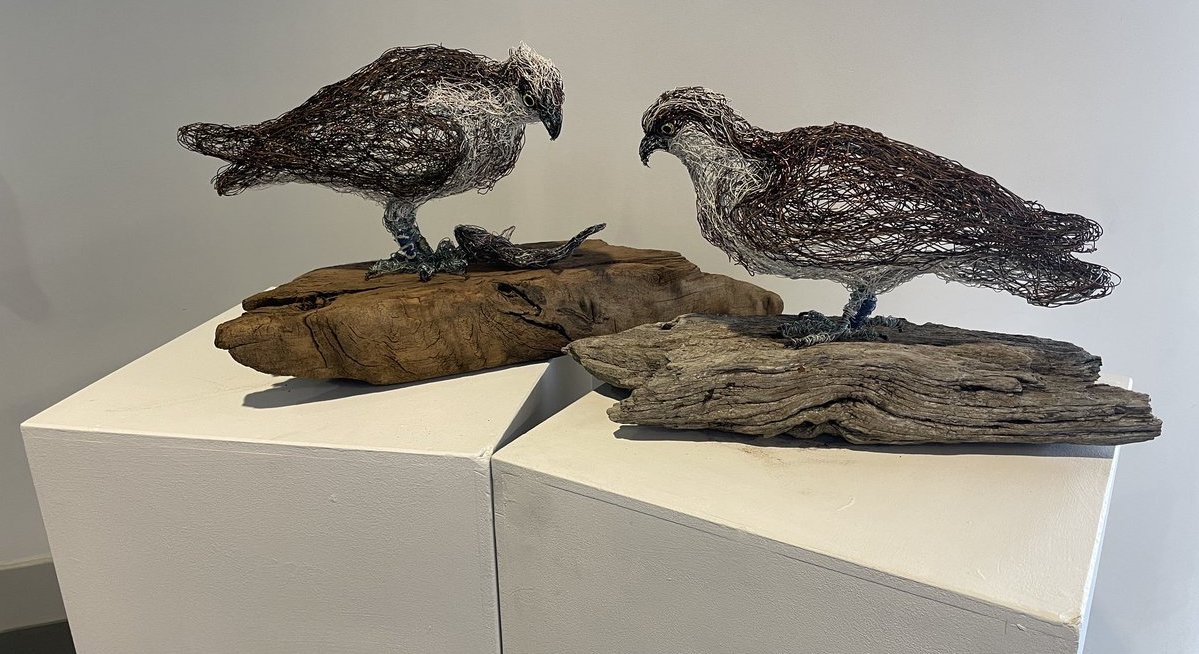 Second osprey sculpture home to roost - Lighthouse