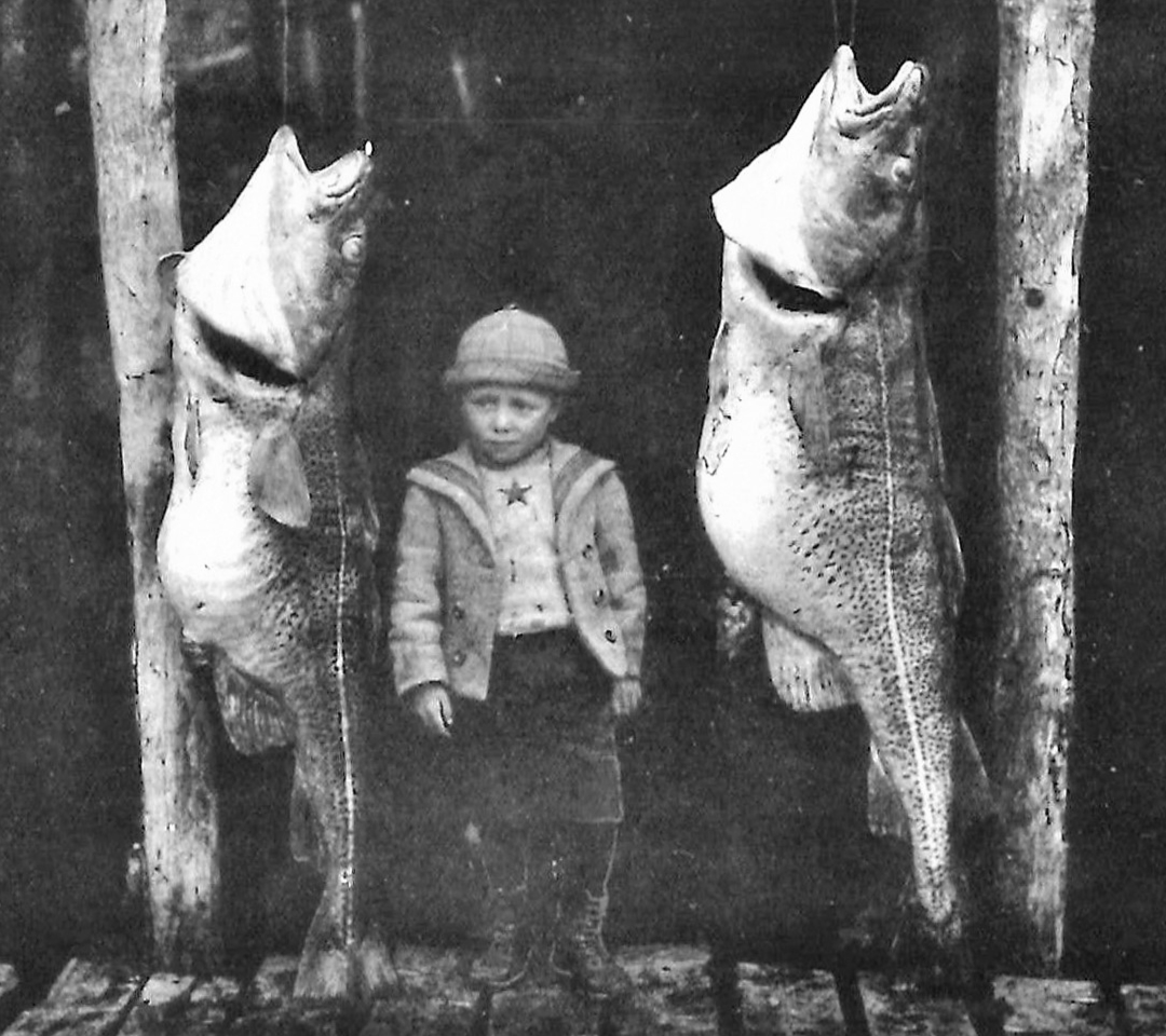 Poole Museum @ Lighthouse - Lighthouse