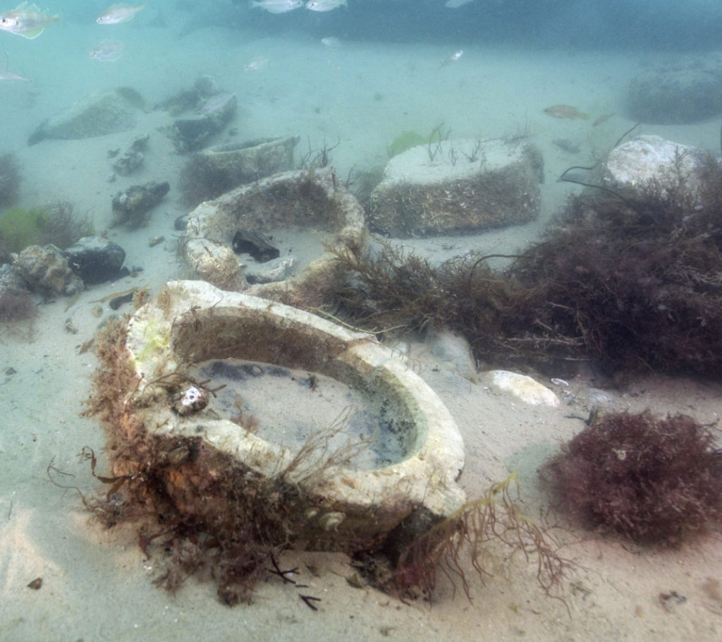 Poole Museum @ Lighthouse - Lighthouse